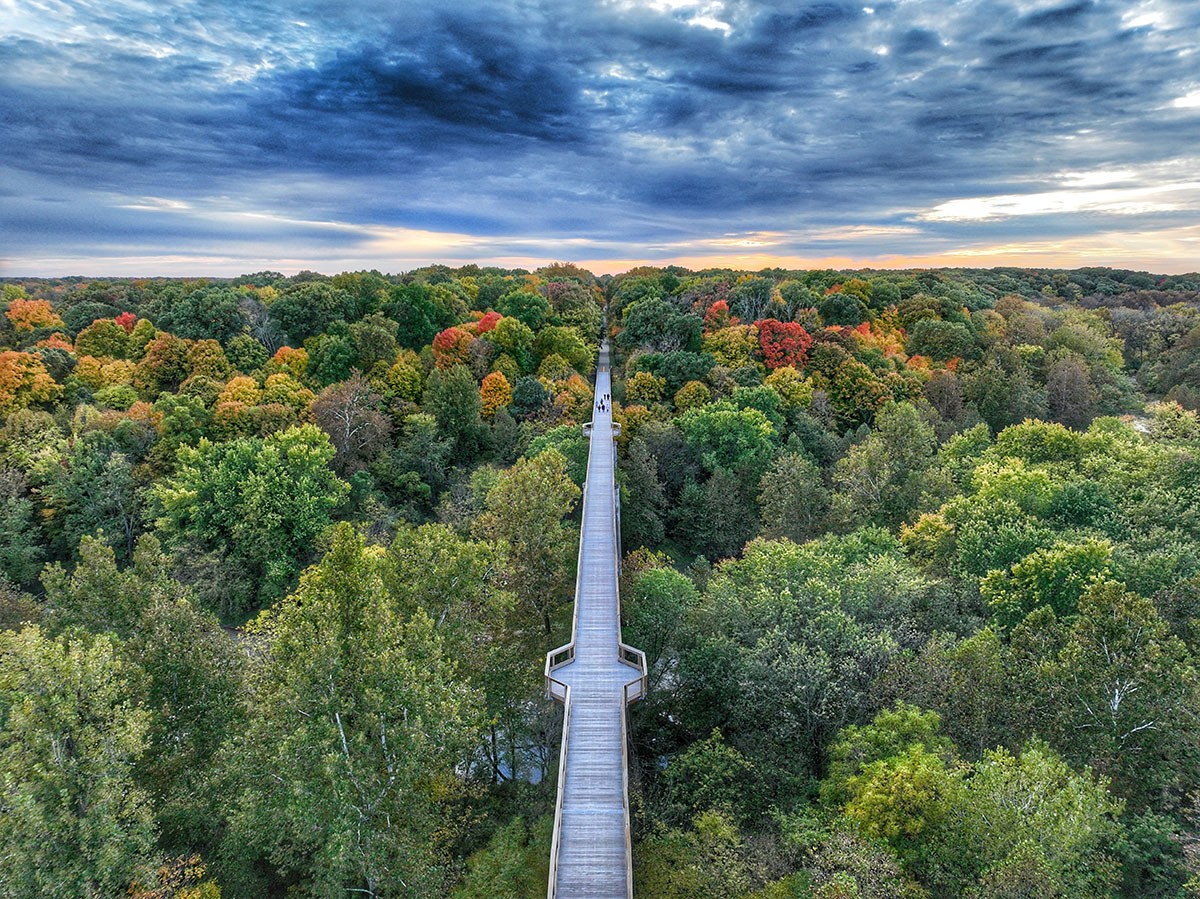 Kickapoo Trail named Project of the Year - Blog