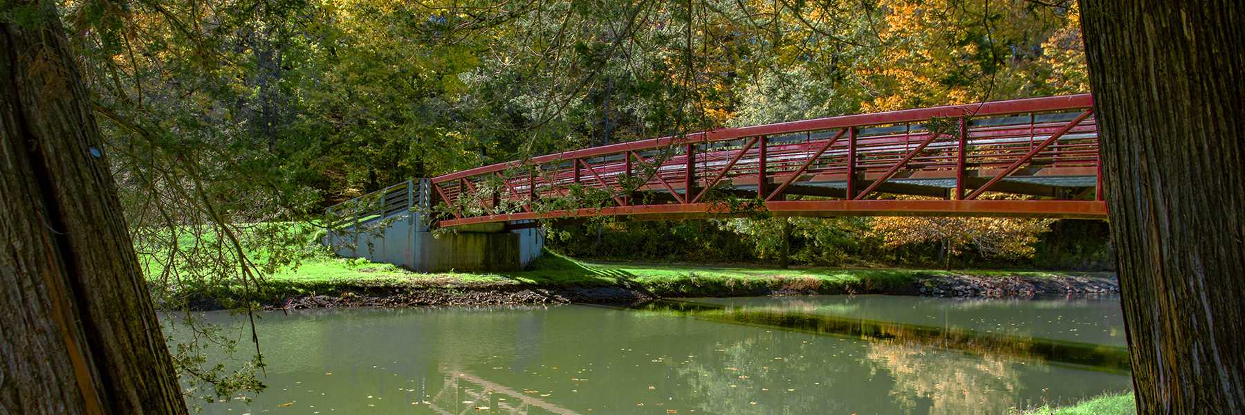 Top Engineering and Environmental Firm | Fehr Graham